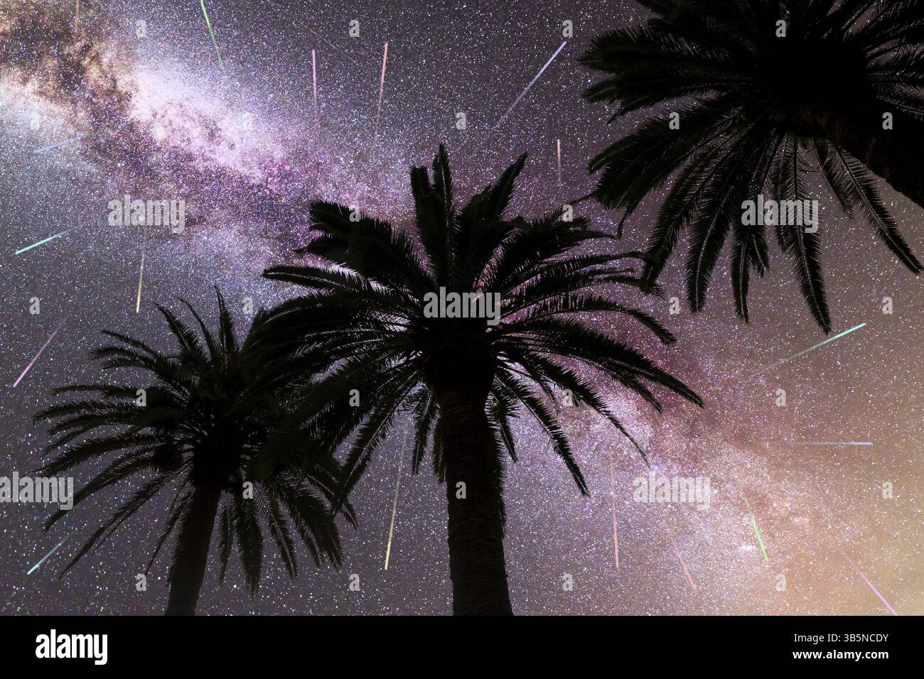 A view of a Meteor Shower and the purple Milky Way with three palm ...