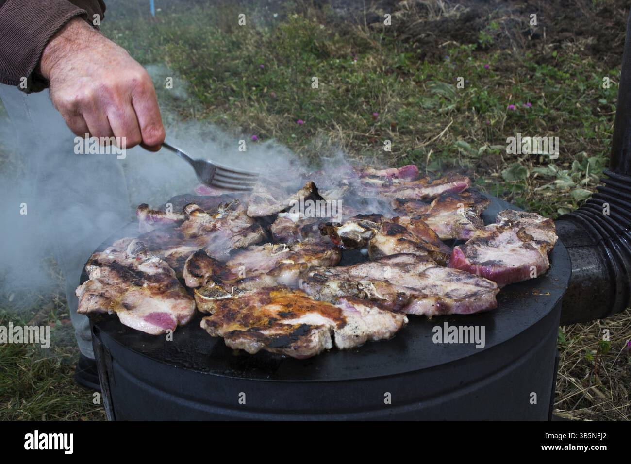 Grilled meat, pork, beef and chicken meat on barbecue, grill Stock ...