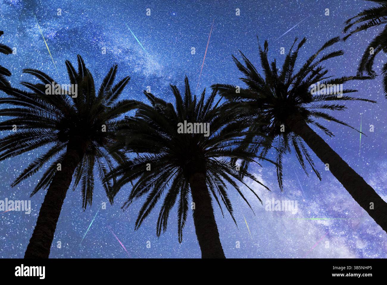 A view of a Meteor Shower and the Milky Way with three palm trees ...