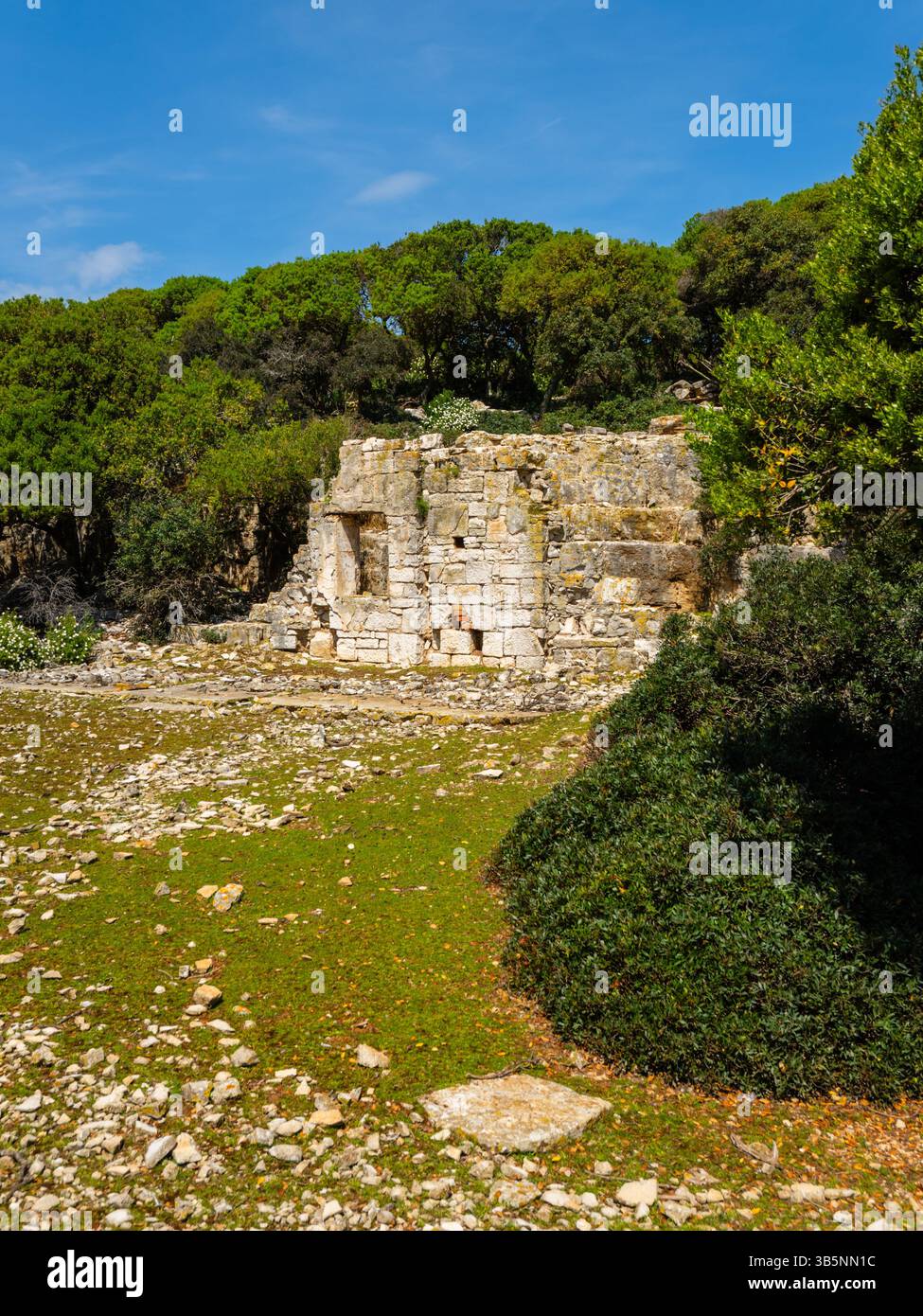 Island Mali Brijun in Brijuni national park Stock Photo - Alamy