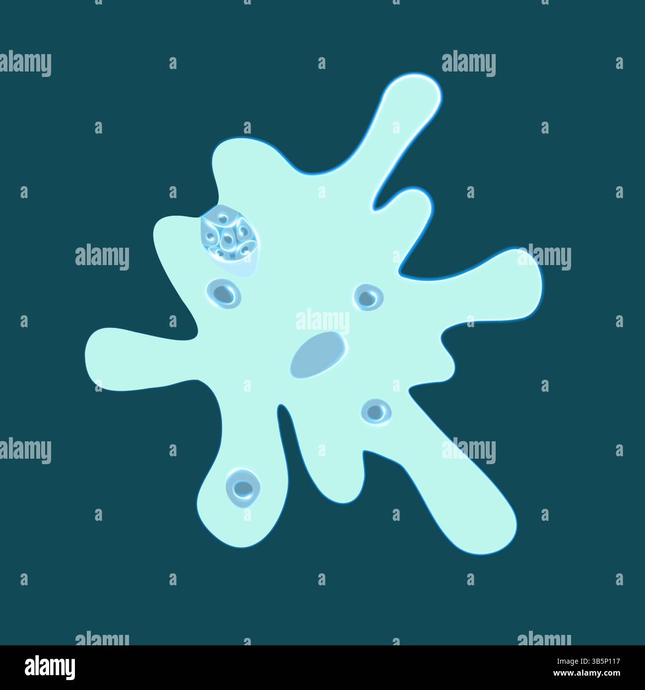 Vector isolated illustration of amoeba proteus. Studying the structure ...