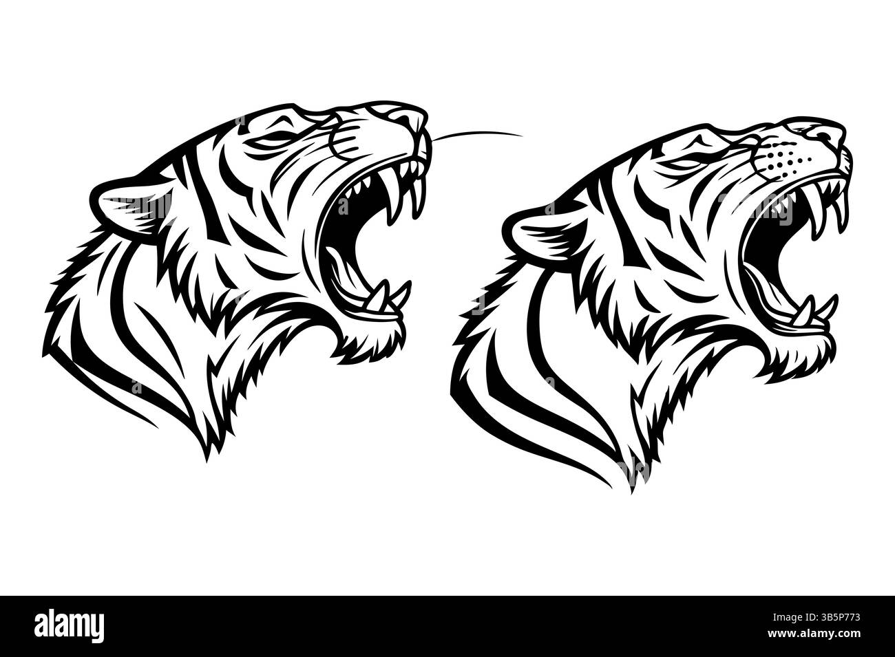 Link ×Title: Set of big tigers. Collection of portraits of predatory ...