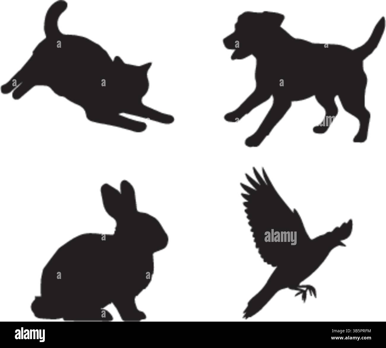 Elegant animal stance hi-res stock photography and images - Alamy