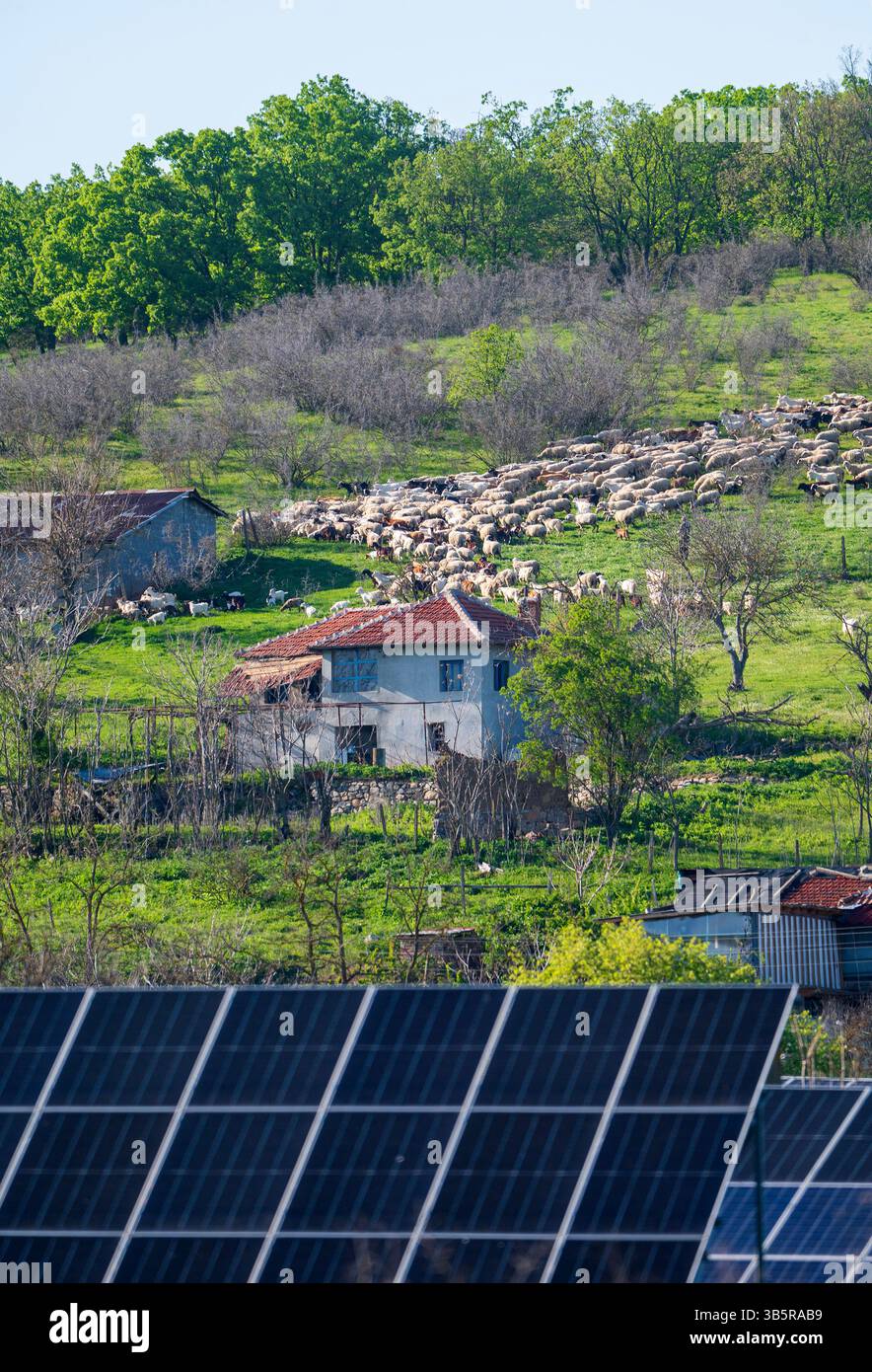Bulgaria. 1st May 2025 Warm days return wildlife farming and solar ...