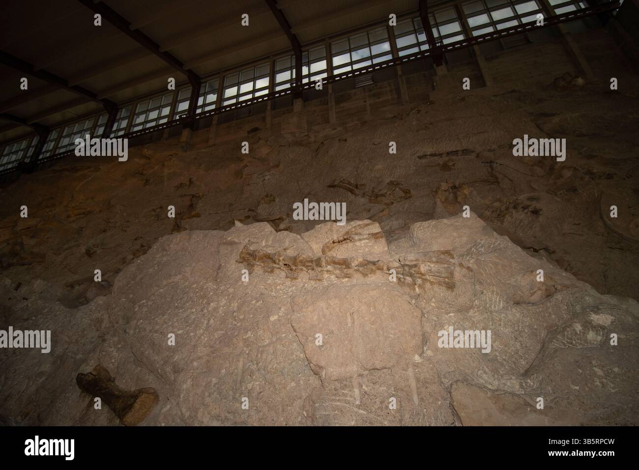 The Quarry Exhibit Hall at Dinosaur National Monument Stock Photo - Alamy