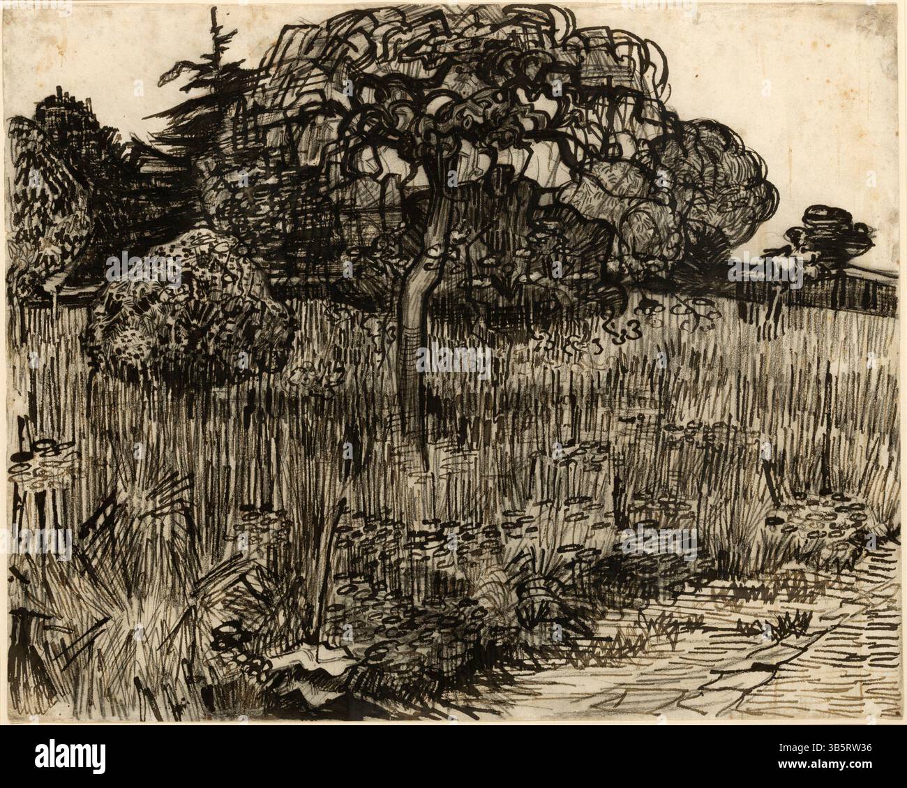 Weeping Tree. Vincent van Gogh. 1889 Stock Photo - Alamy