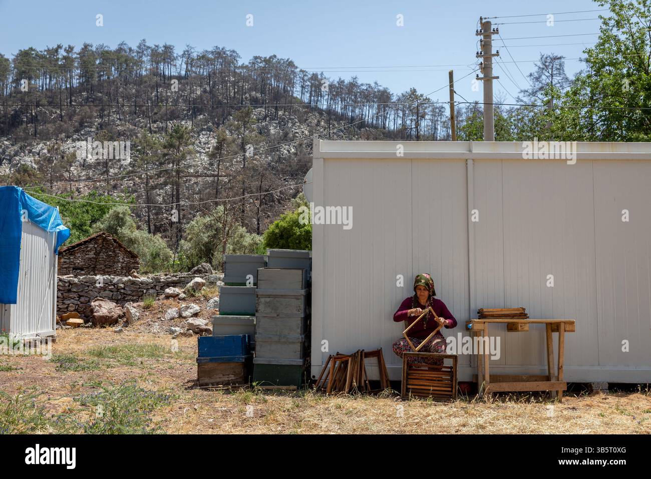 Completed beekeeping hi-res stock photography and images - Alamy