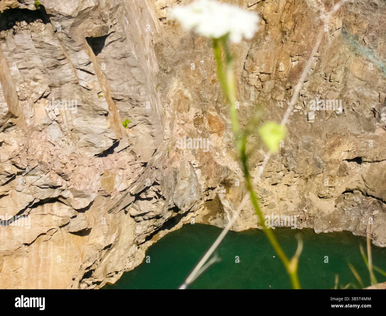 High river cliff in the backwater. The nature of Eastern Siberia Stock ...