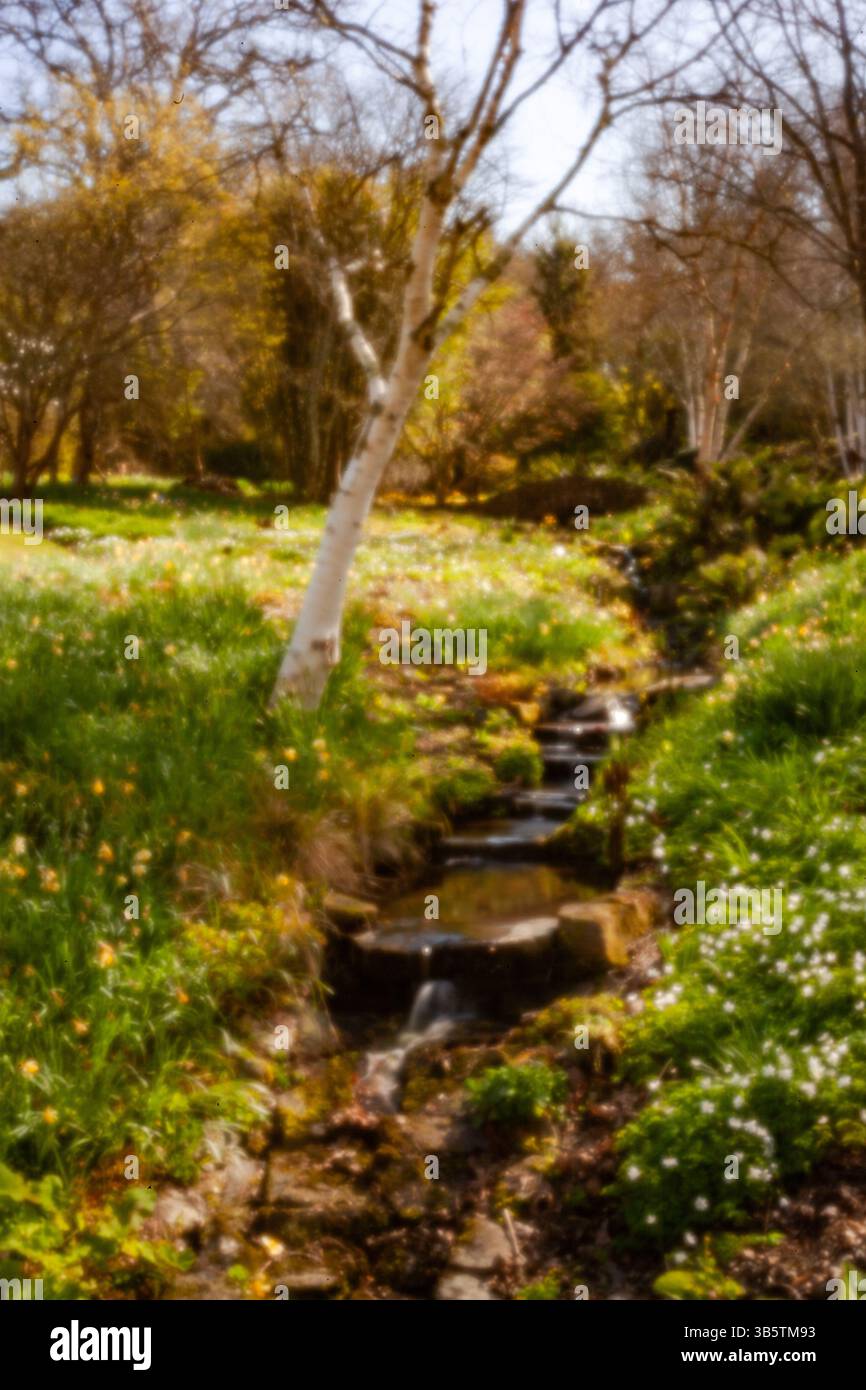 RHS Garden Rosemoor, botanical garden in North Devon, England.Alluring ...