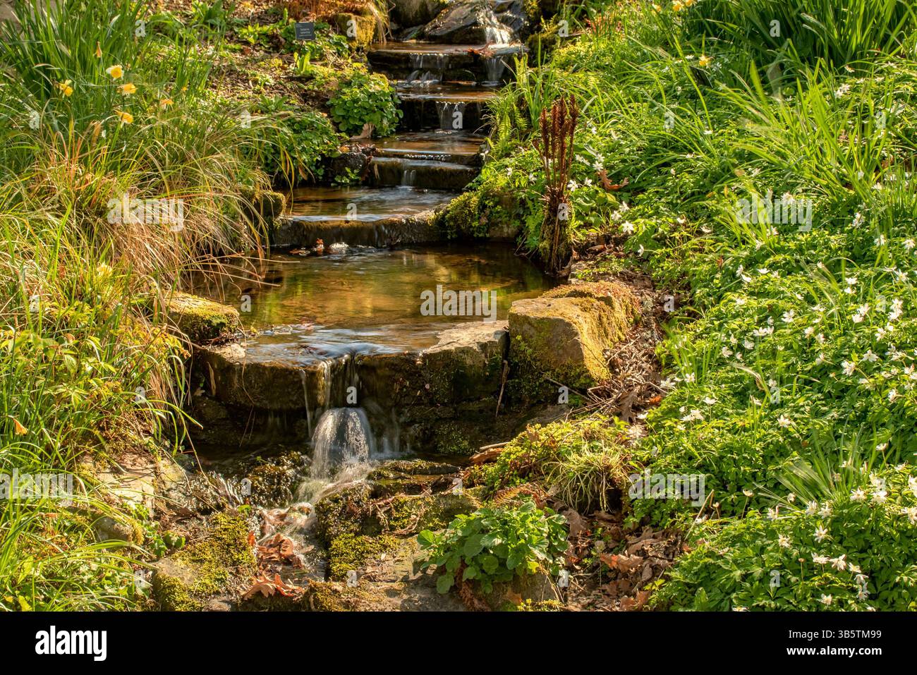RHS Garden Rosemoor, botanical garden in North Devon, England.Alluring ...