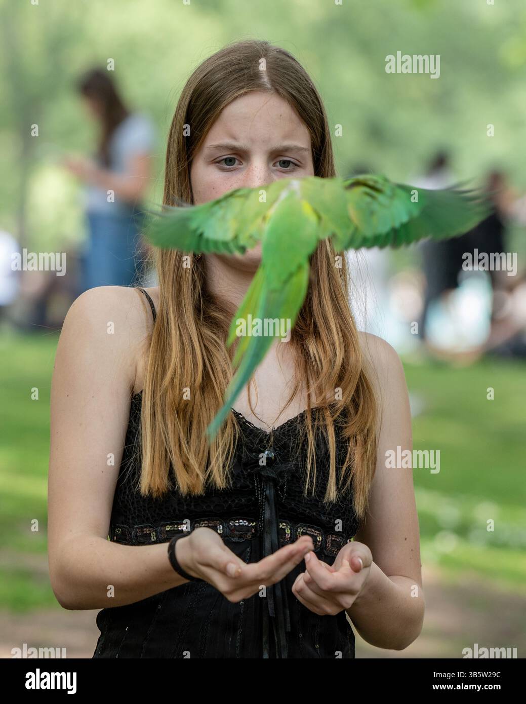 London, England, UK. 2nd May, 2025. A woman feeds a rose-ringed ...