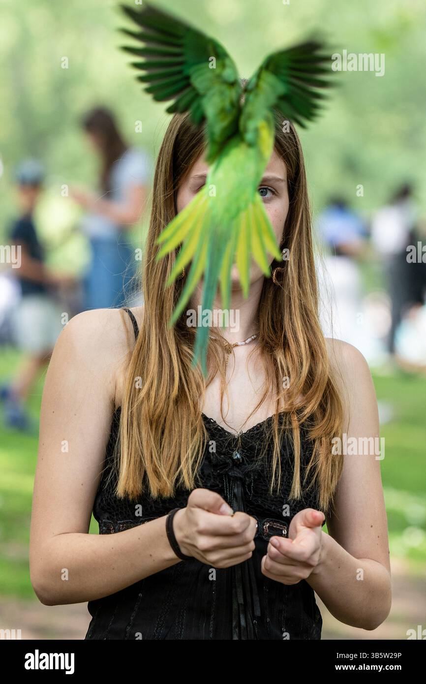 London, England, UK. 2nd May, 2025. A woman feeds a rose-ringed ...
