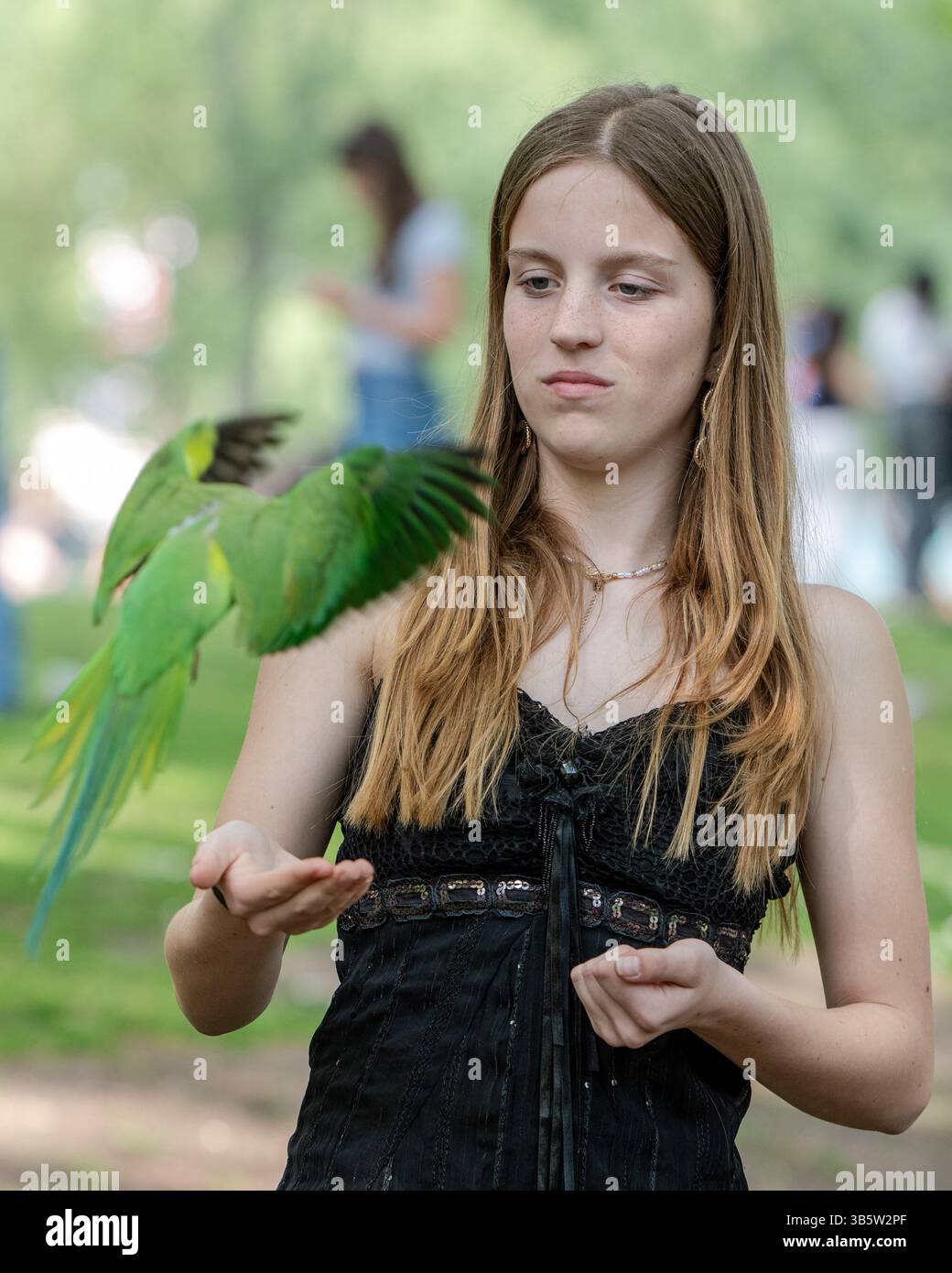 London, England, UK. 2nd May, 2025. A woman feeds a rose-ringed ...