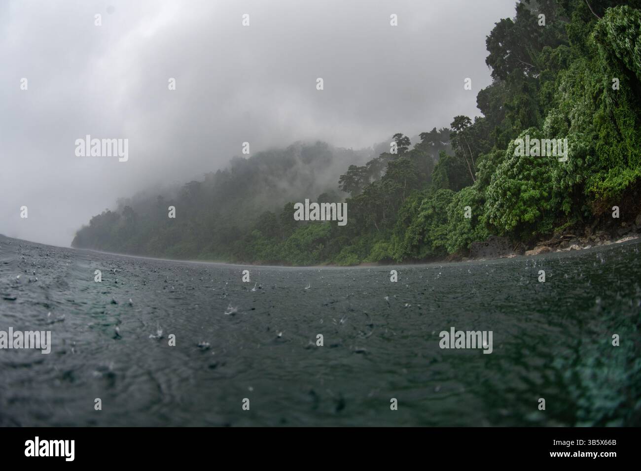 Heavy rain falls on a remote tropical island, Pulau Pisang, in the ...