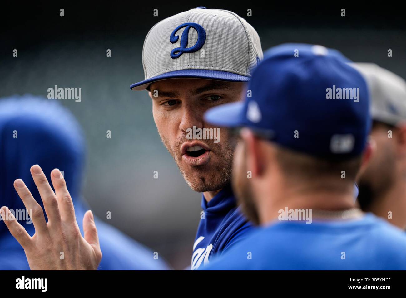 Los Angeles Dodgers first baseman Freddie Freeman warms up before a ...
