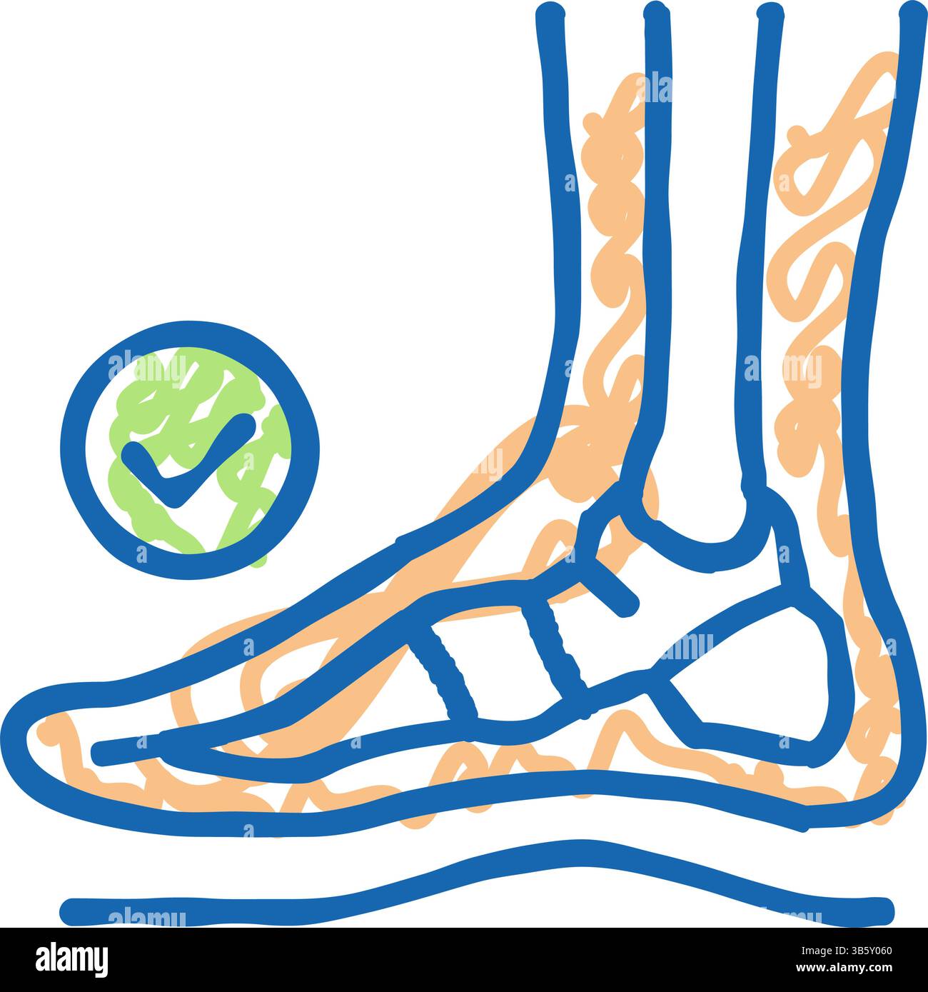 healthy bone feet icon doodle illustration Stock Vector Image & Art - Alamy