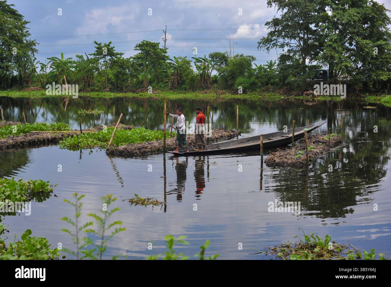 July 27, 2022: Belal Ahmed (33 years,:L) is building a floating seedbed ...