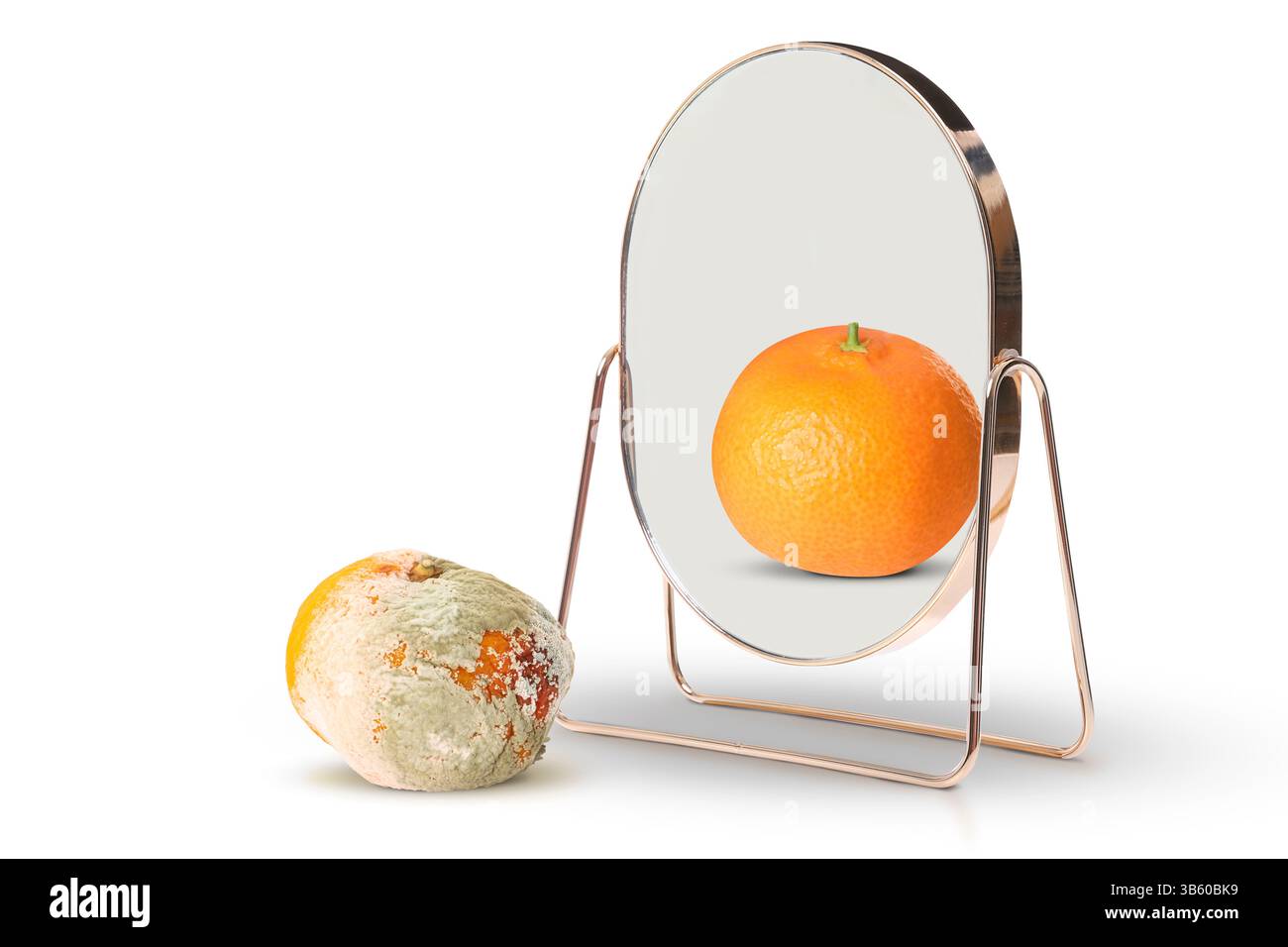 Rotten tangerine reflecting in mirror as fresh, white background ...