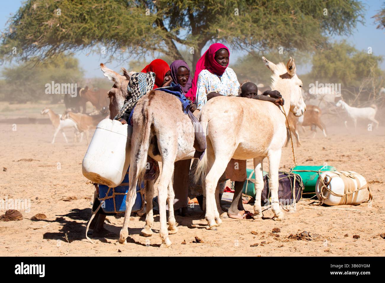 Nomadic tribe, Lake Chad area, Chad Stock Photo - Alamy