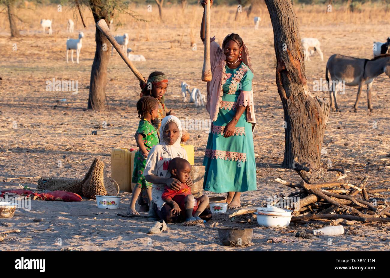 Pestling grain into flour, Wodaabe nomadic tribe camp near Lake Chad ...