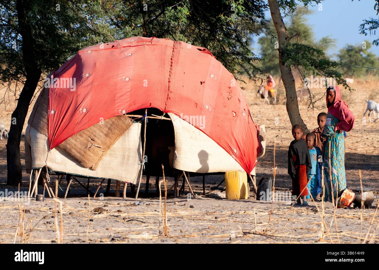 Wodaabe nomadic tribe camp near Lake Chad, Chad Stock Photo - Alamy