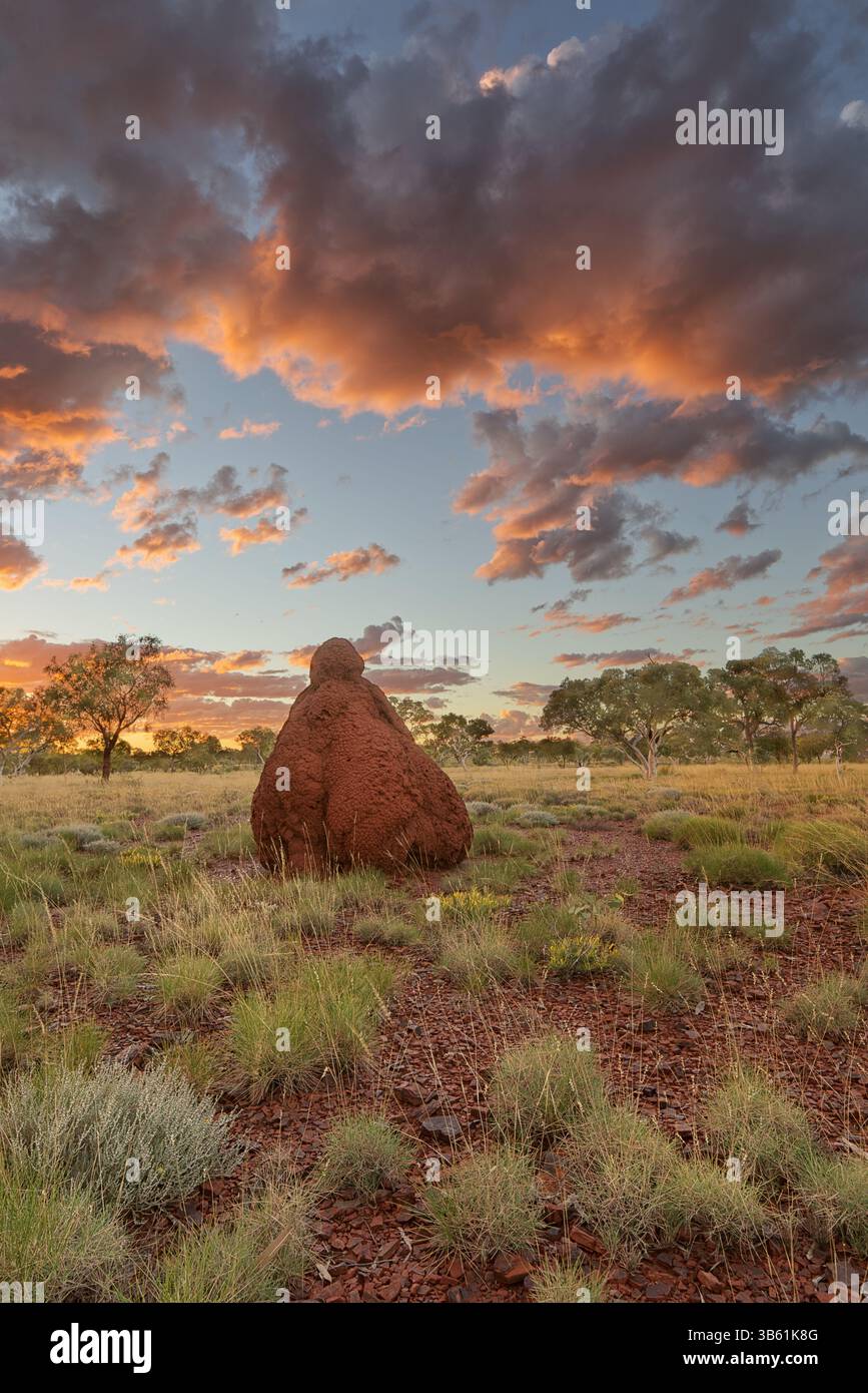 Sunset over a red termite mound in the Karijini National Park, Western ...
