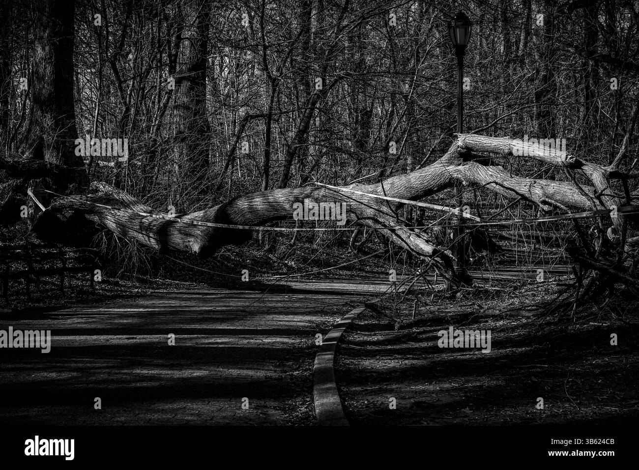 Tape that street art Black and White Stock Photos & Images - Alamy