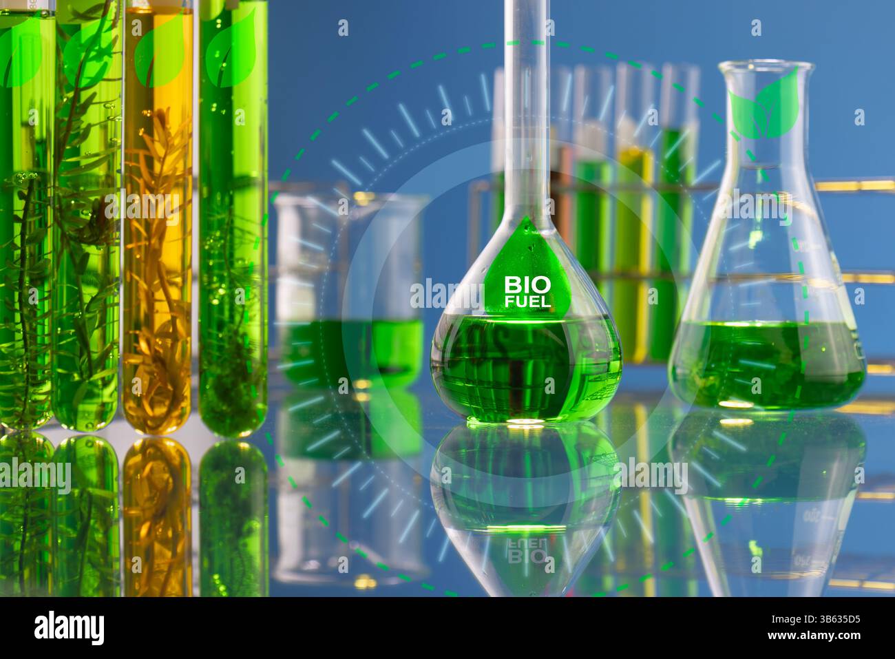 Algae fuel biofuel industry lab researching for alternative to fossil ...