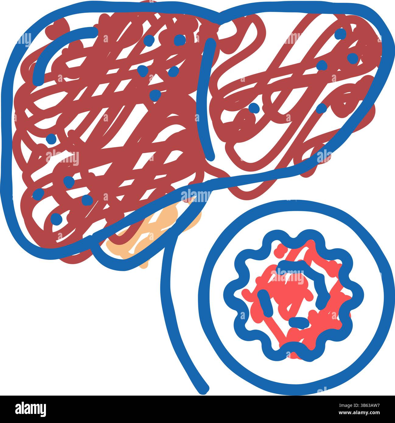 hepatitis B icon doodle illustration Stock Vector Image & Art - Alamy