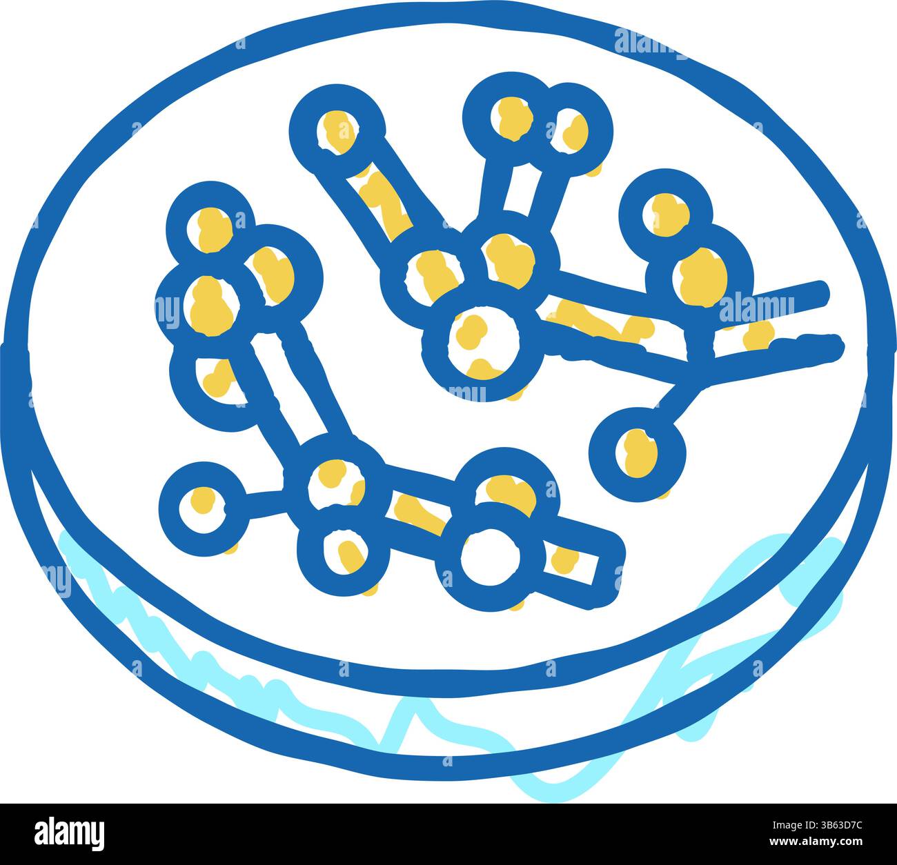 Candida fungi illustration Stock Vector Images - Alamy