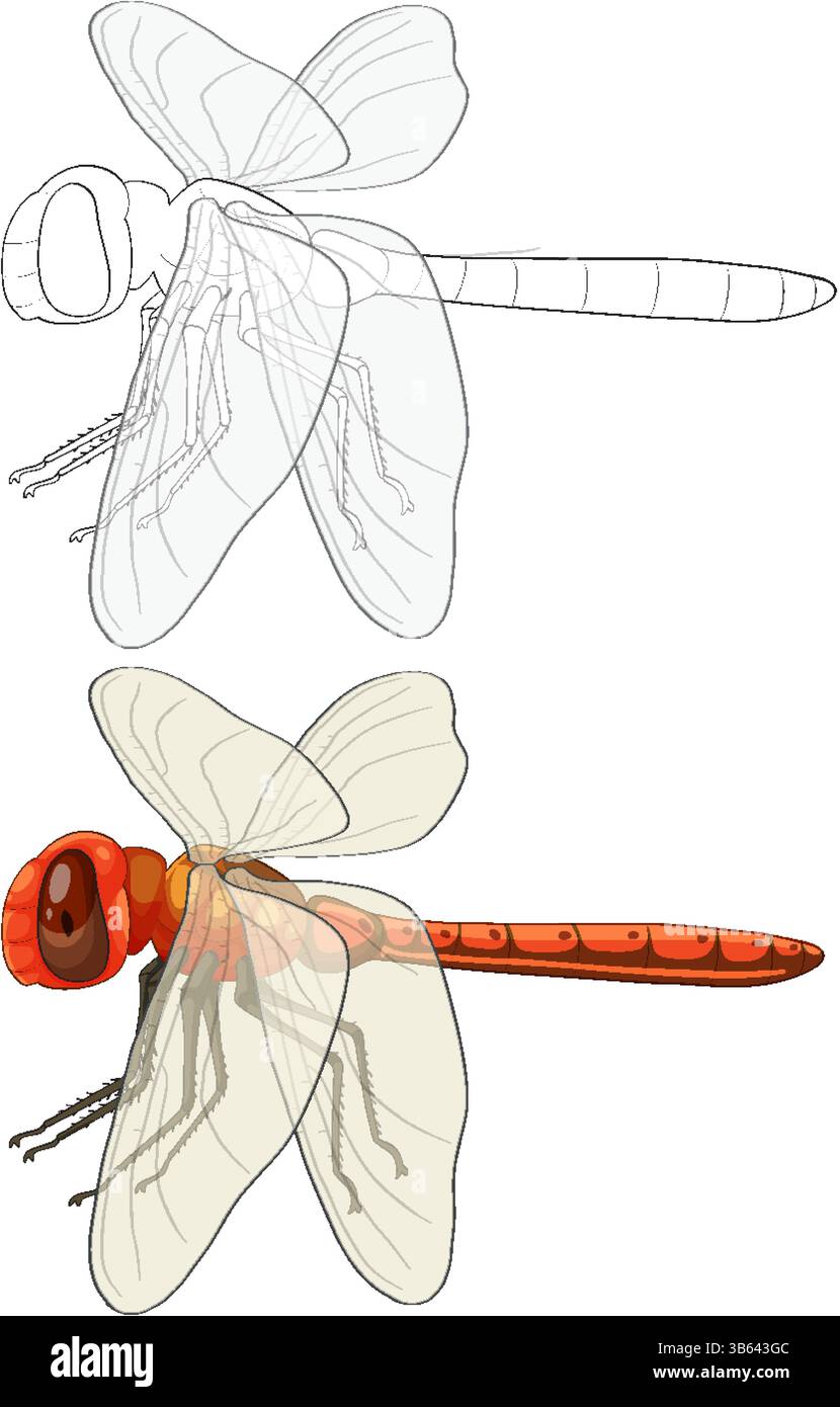 Showcasing vibrant branding Cut Out Stock Images & Pictures - Alamy