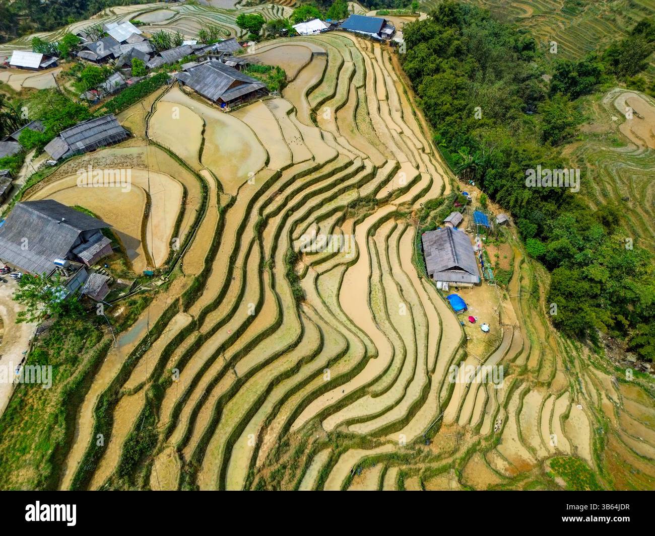 Sapa's rice terraces, with their green layers climbing the mountains ...