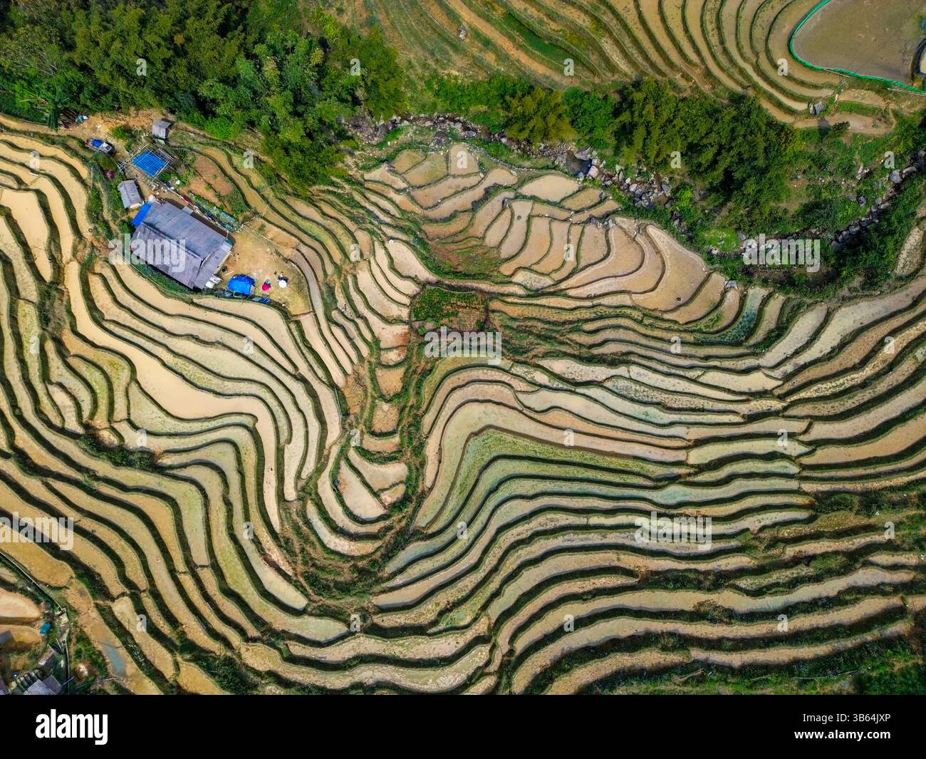 Sapa's rice terraces, with their green layers climbing the mountains ...