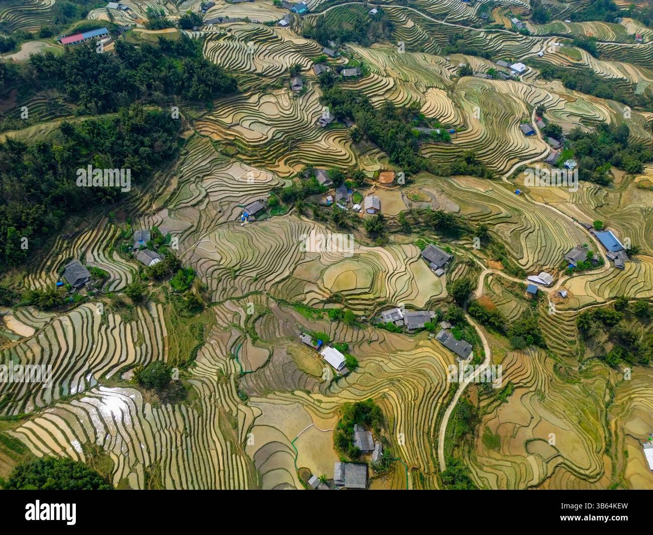 Sapa's rice terraces, with their green layers climbing the mountains ...