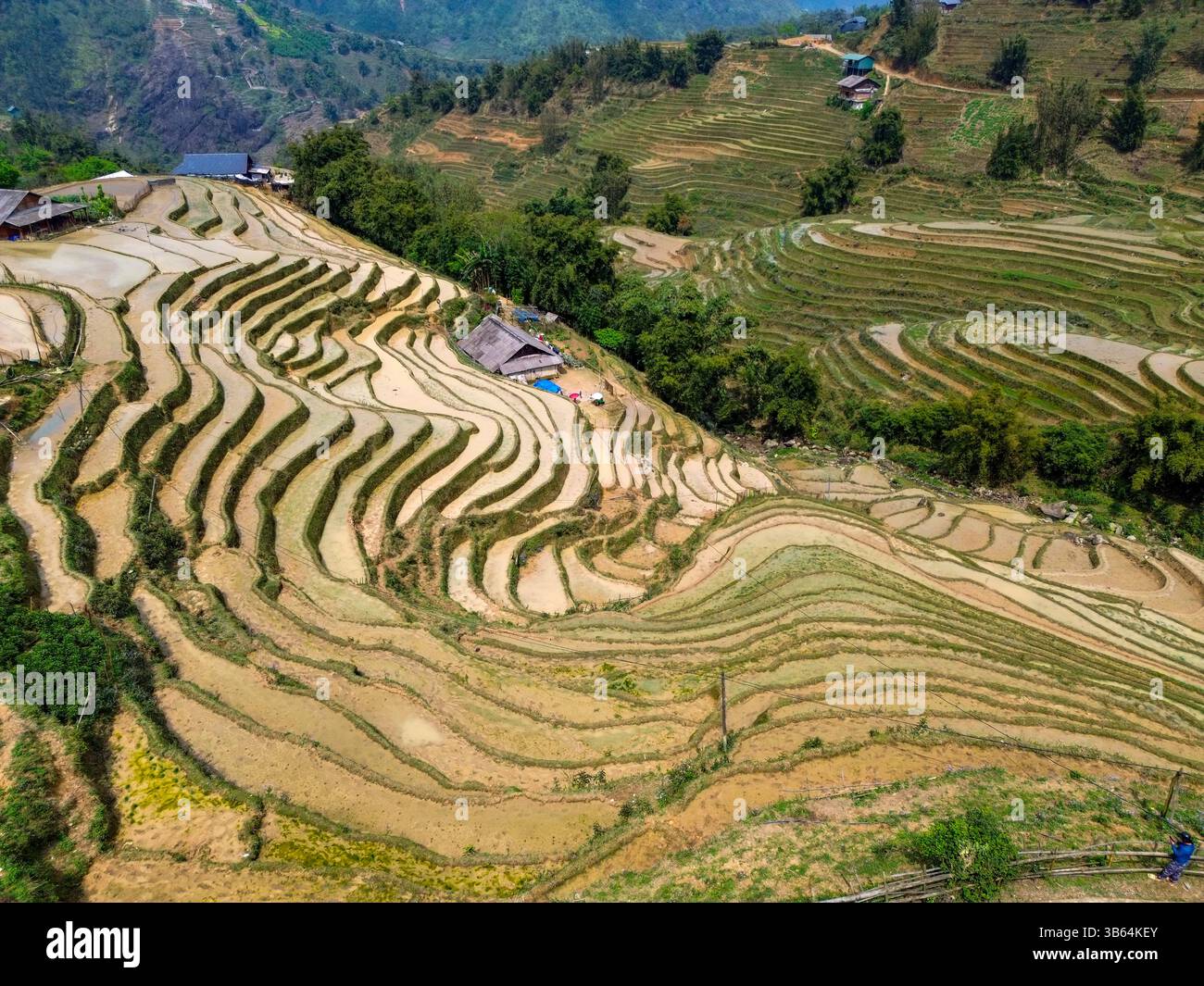 Sapa's rice terraces, with their green layers climbing the mountains ...