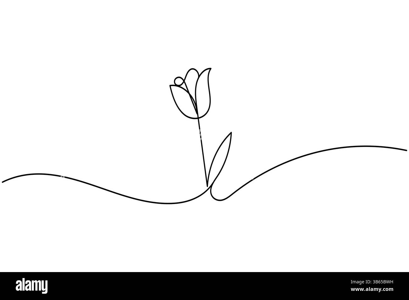 Tulip flower continuous one line drawing and minimalist style isolate ...
