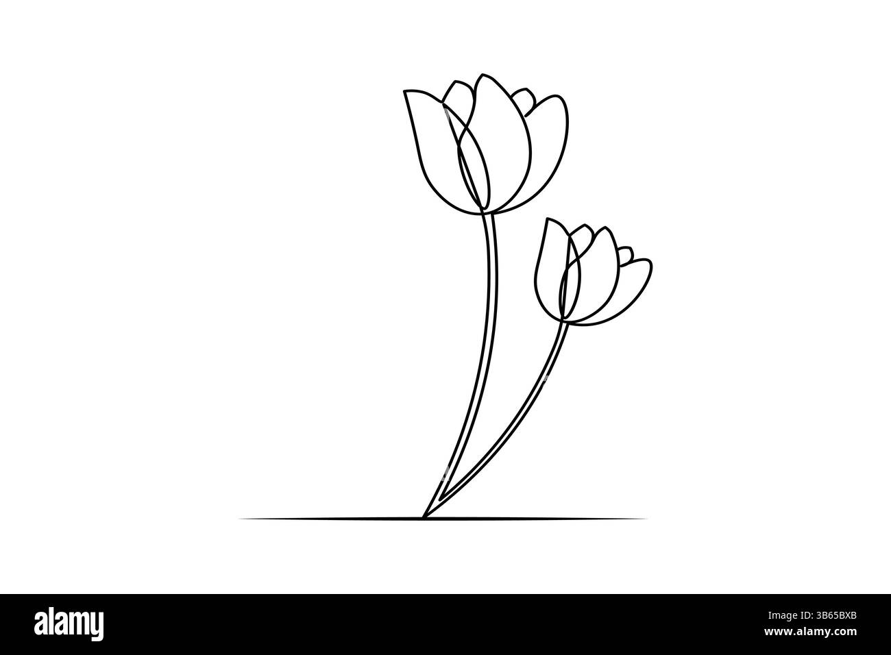 Tulip flower continuous one line drawing and minimalist style isolate ...