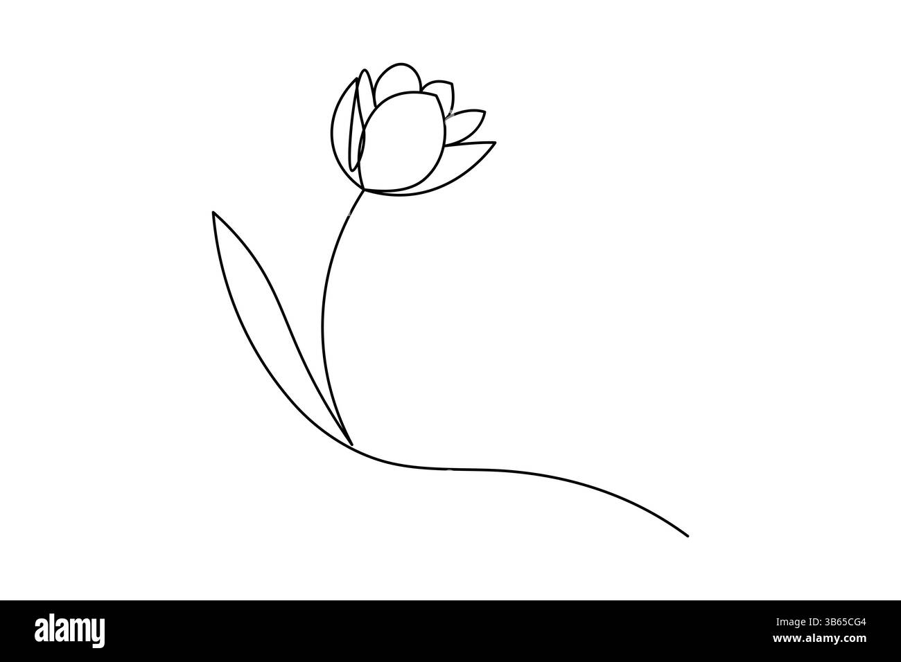 Tulip flower continuous one line drawing and minimalist style isolate ...