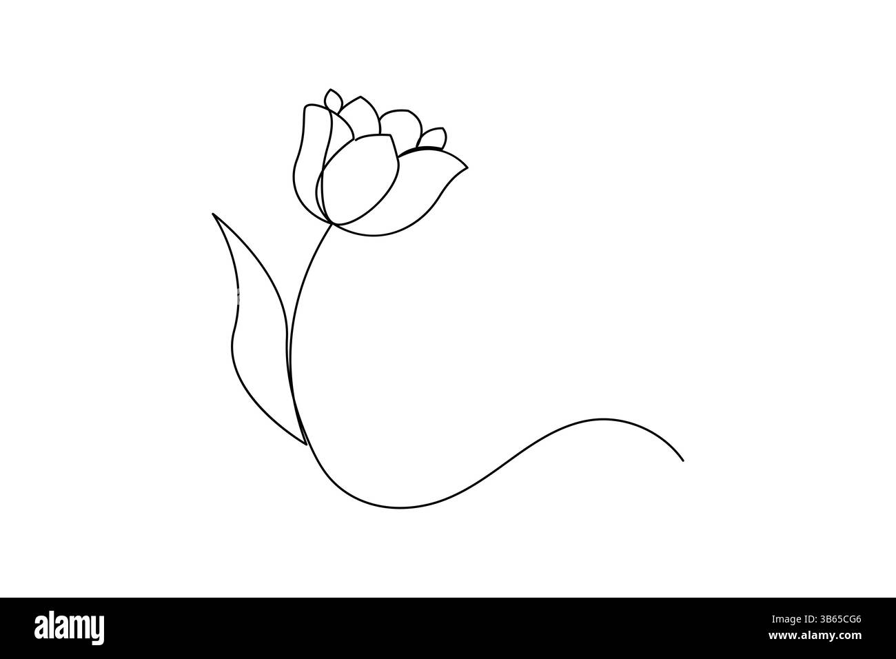 Tulip flower continuous one line drawing and minimalist style isolate ...