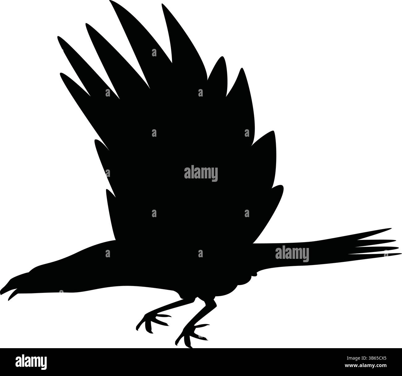 Crow wings Black and White Stock Photos & Images - Alamy