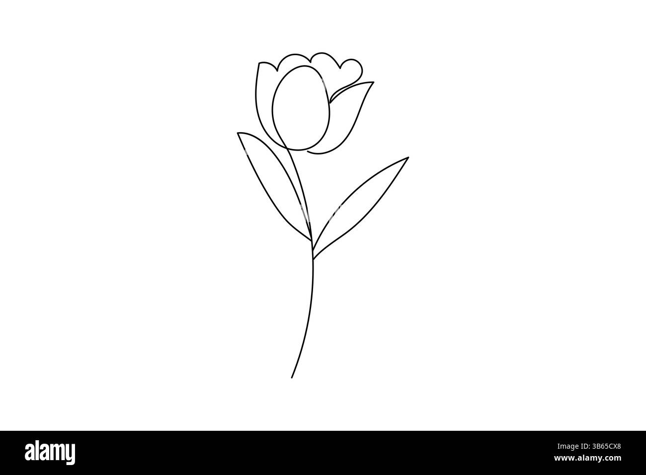 Tulip flower continuous one line drawing and minimalist style isolate ...