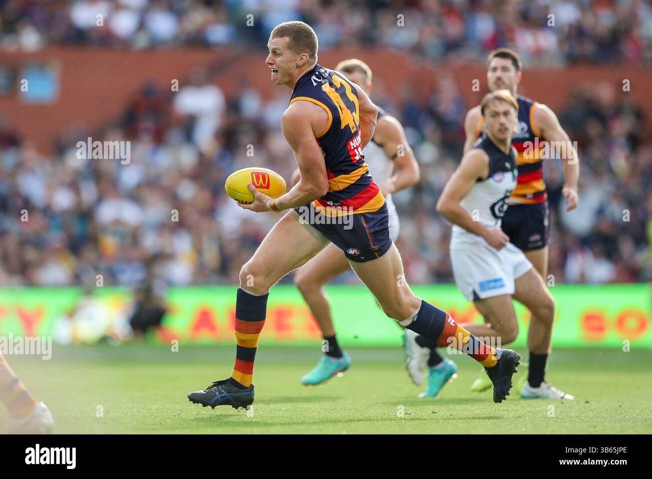 Adelaide, Australia. 03rd May, 2025. Reilly O'Brien of the Crows during ...