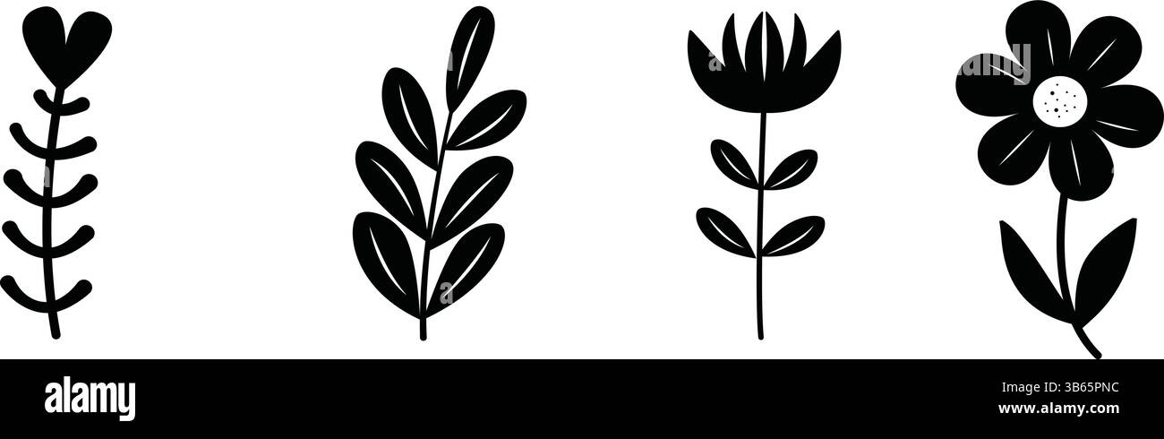 Botanical drawing black Cut Out Stock Images & Pictures - Alamy