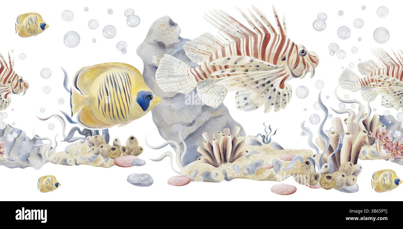 Seamless border with tropical fish. Striped red. Lion fish and big ...