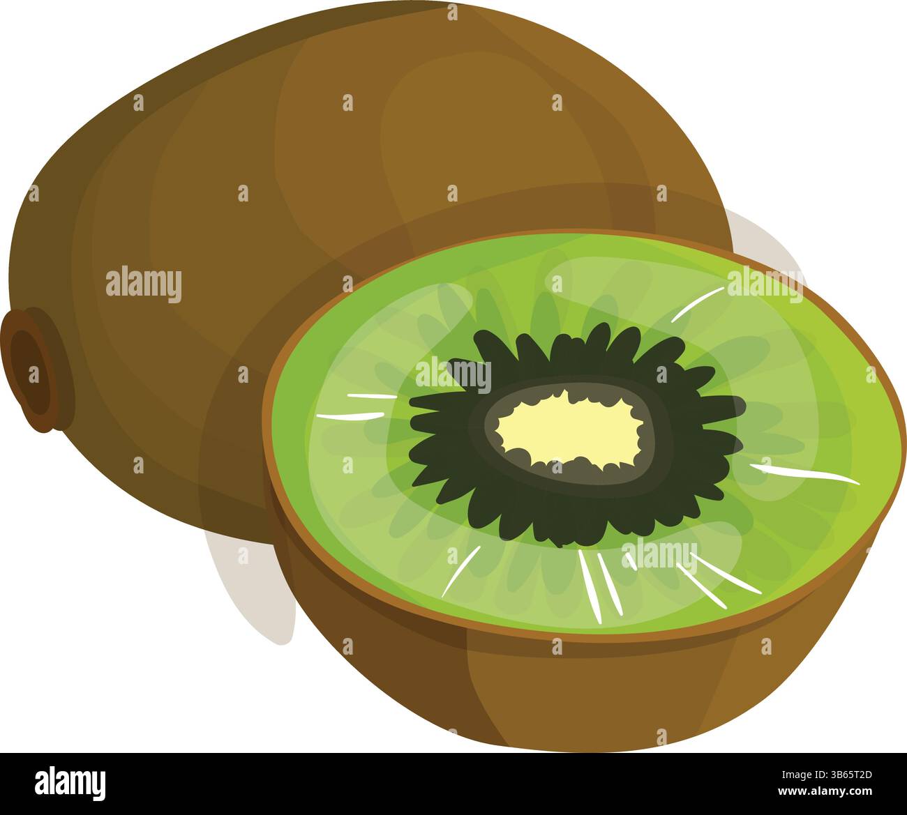 Green kiwi illustration Stock Vector Images - Alamy