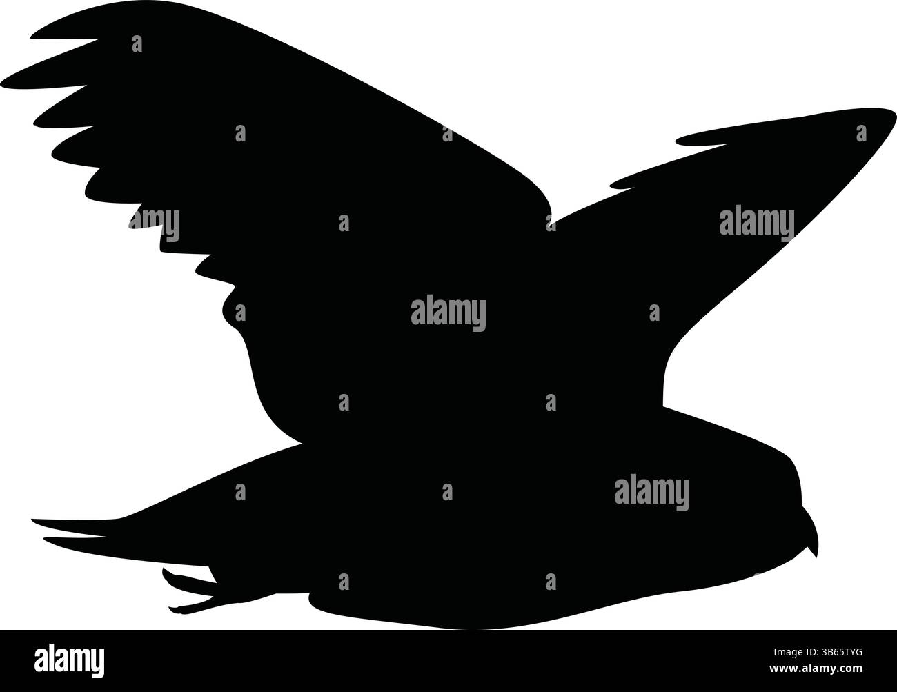 Flying Bird Silhouette Icon – Black Bird in Flight Vector Isolated on ...