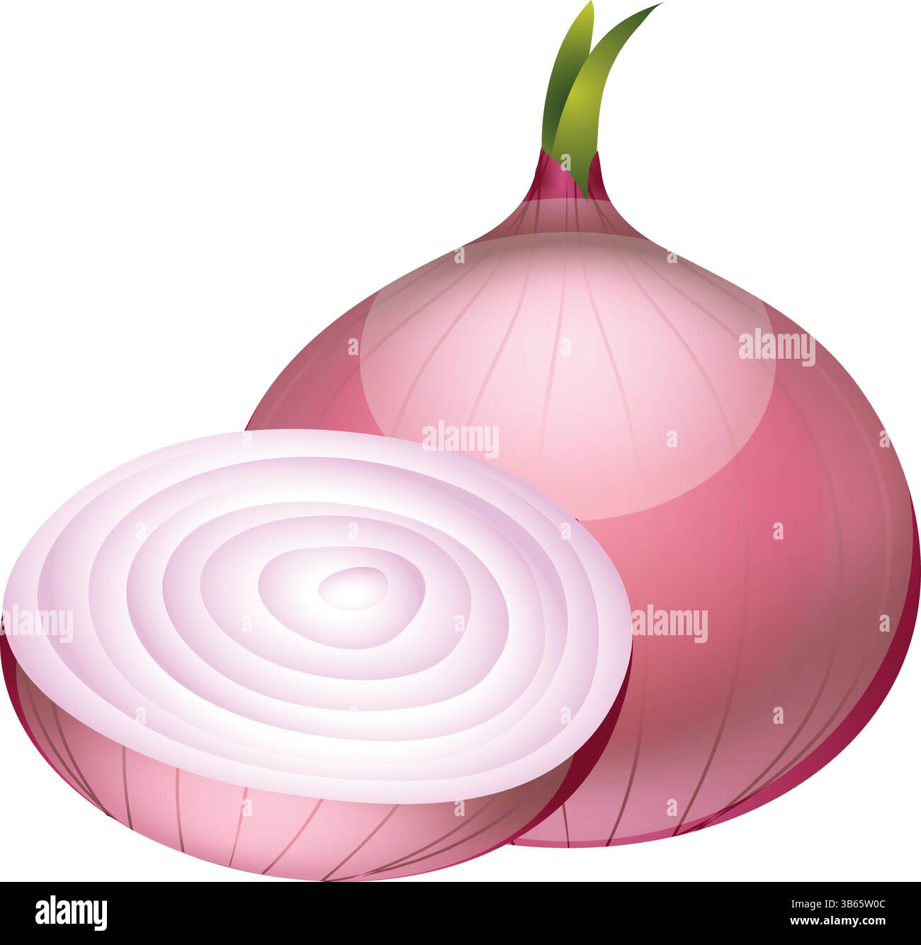 Red Onion Vector Icon – Whole and Half Cut Red Onion Illustration with ...