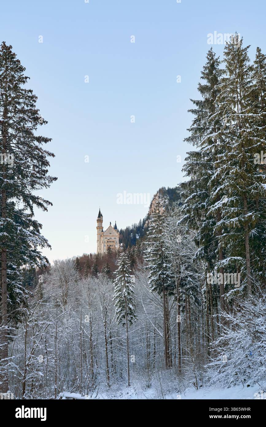 Neuschwanstein Castle in Snowy Winter Forest with Gothic and ...