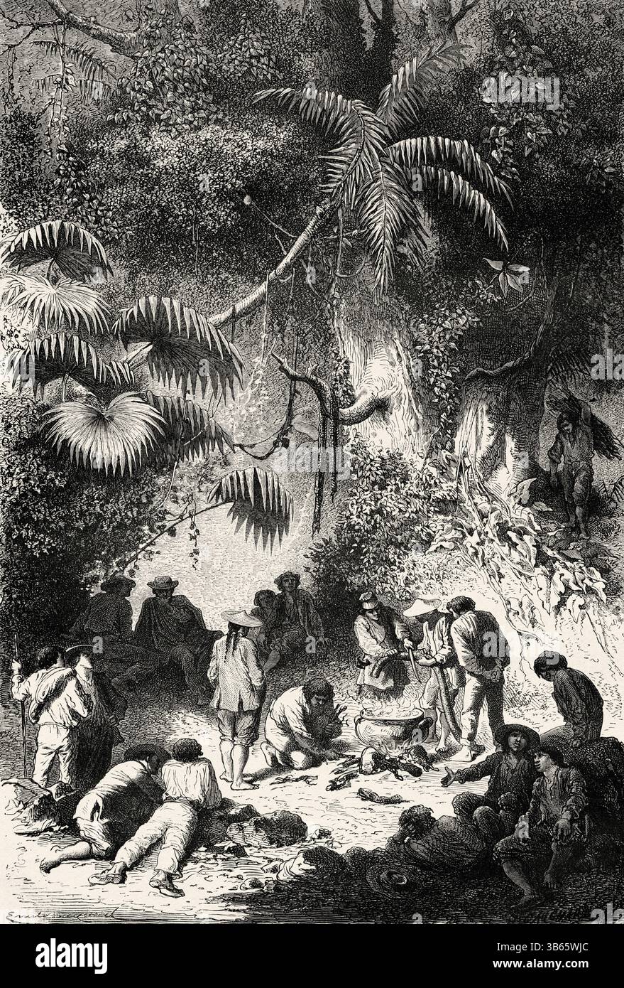 Expedition members cook a python in a jungle, Peru. South America ...