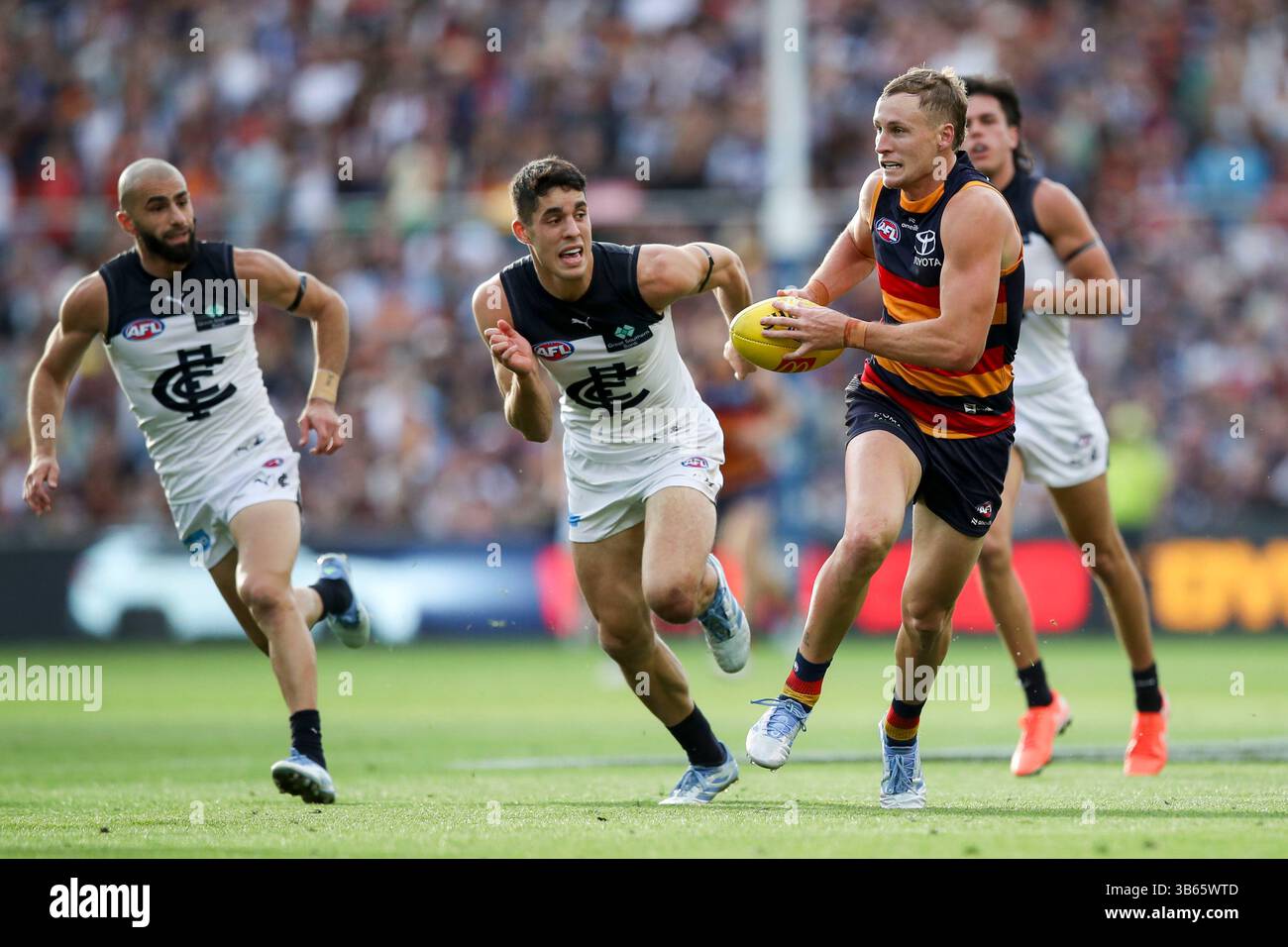Jordan Dawson of the Crows during the AFL Round 8 match between the ...